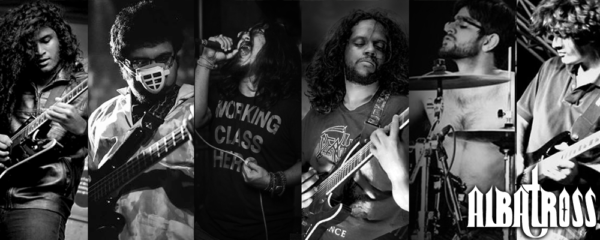 Birds in Bands - An A-Z - My Dad Rocks