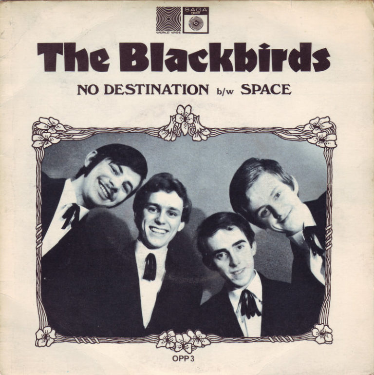 Birds in Bands - An A-Z - My Dad Rocks